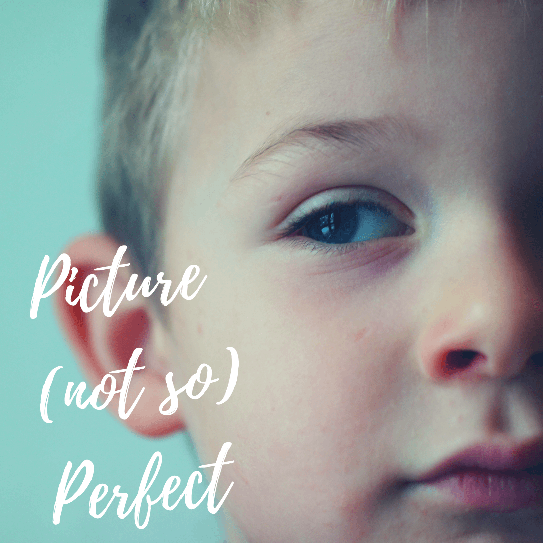 Picture (not so) Perfect — Lenny Lemons